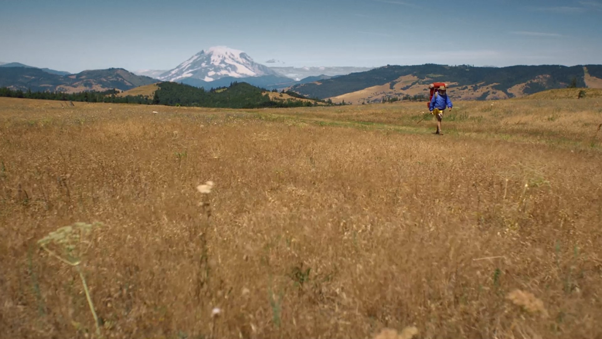 ‘The Dark Divide’ chronicles the process of taking flight - Brent Marchant